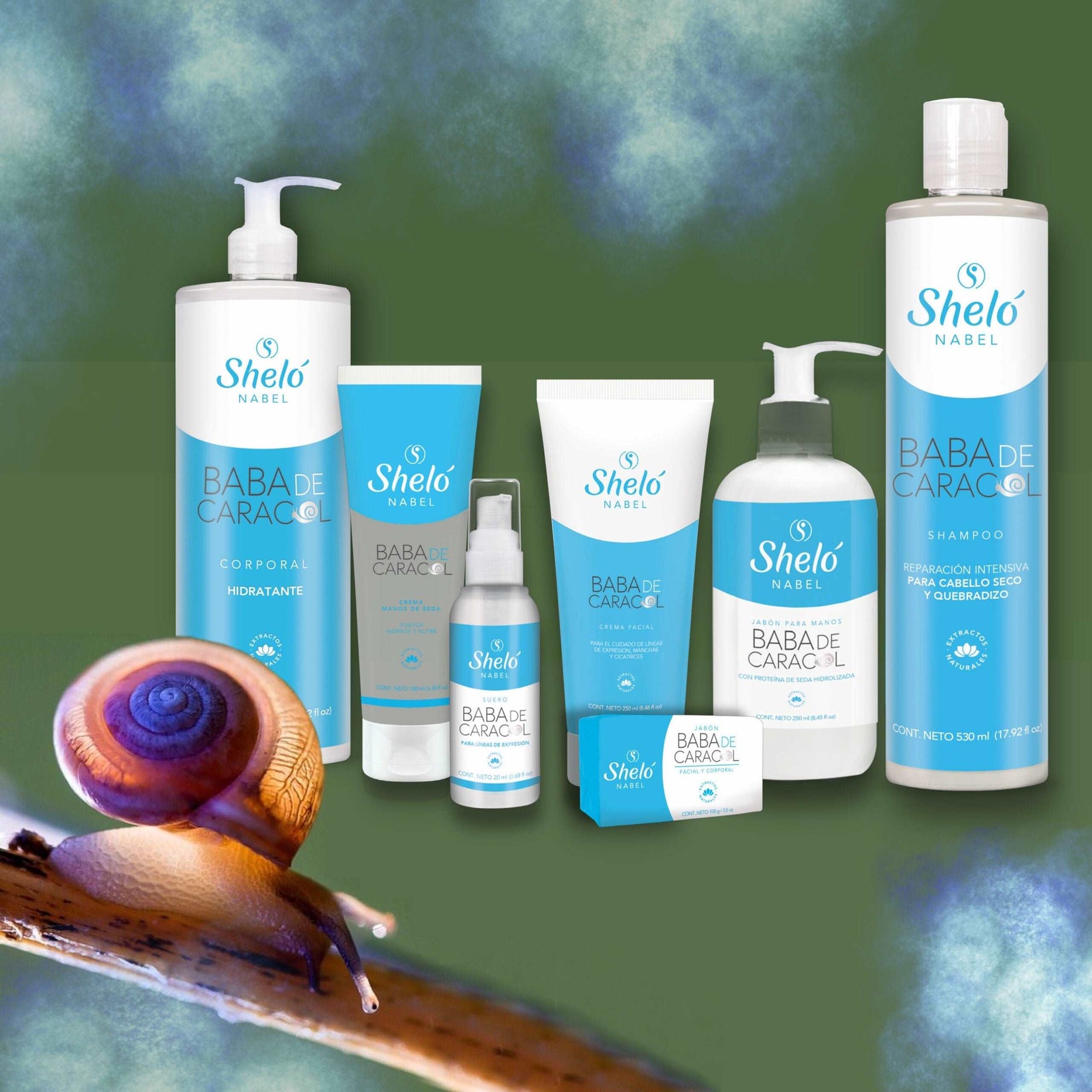 Kit Familia Baba de Caracol de Shelo Nabel – Sheló NABEL Mexico